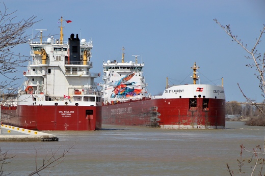 Fednav and CSL among Montreal's Top Employer award - Maritime Magazine