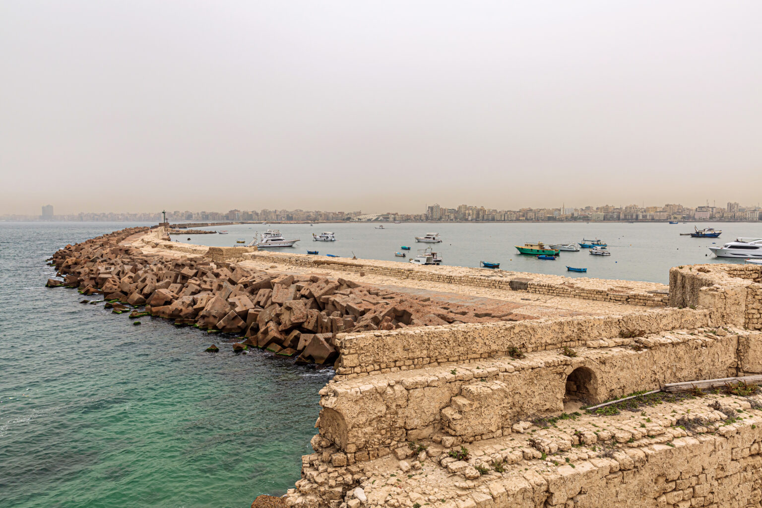 IMO launches office for the MENA region in Alexandria, Egypt - Maritime ...